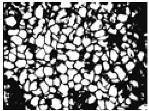 Texture Series Stencils - Stone Cold - Collision Hub