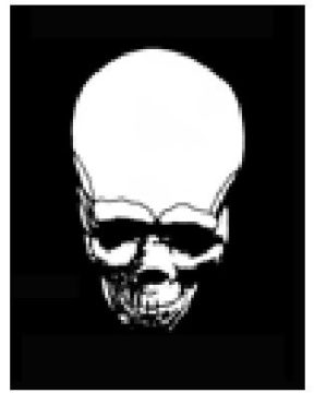Skull Series 1 Stencils - Pack 4 - Collision Hub